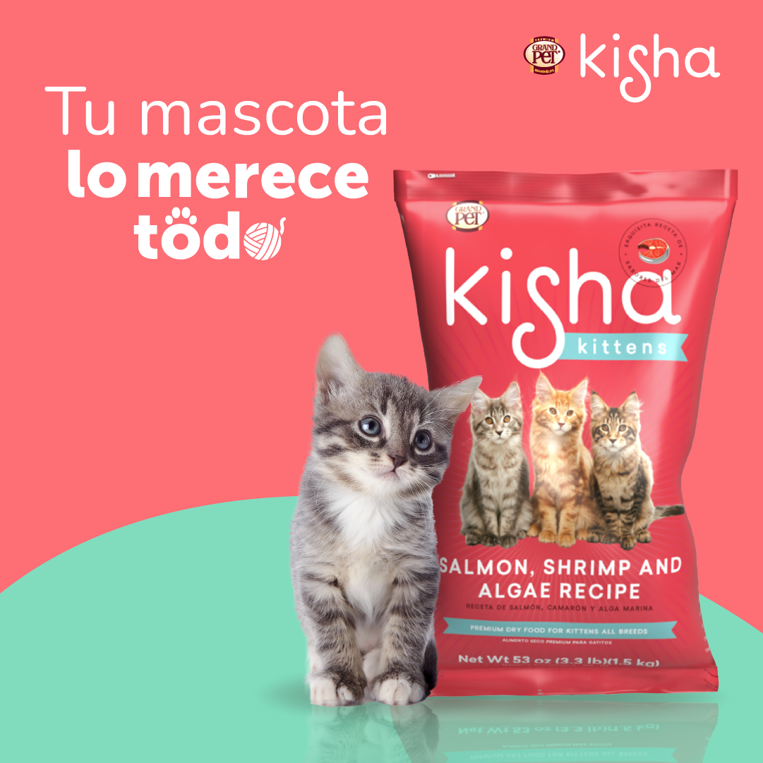 GrandPET Kisha Kittens - Alimento para Gatitos – GrandPet Store